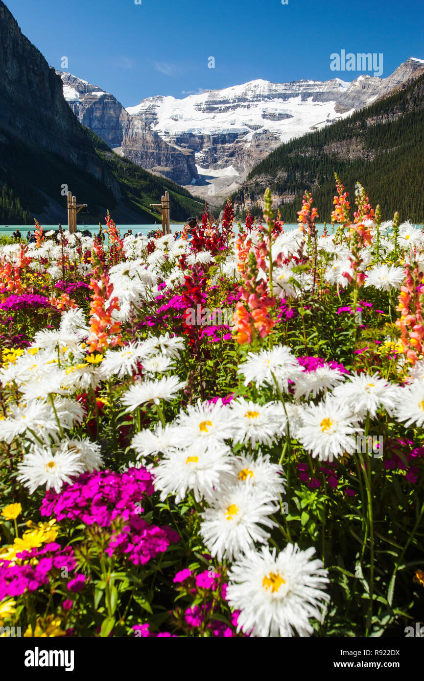 Columbia icefield receding hi-res stock photography and images - Alamy