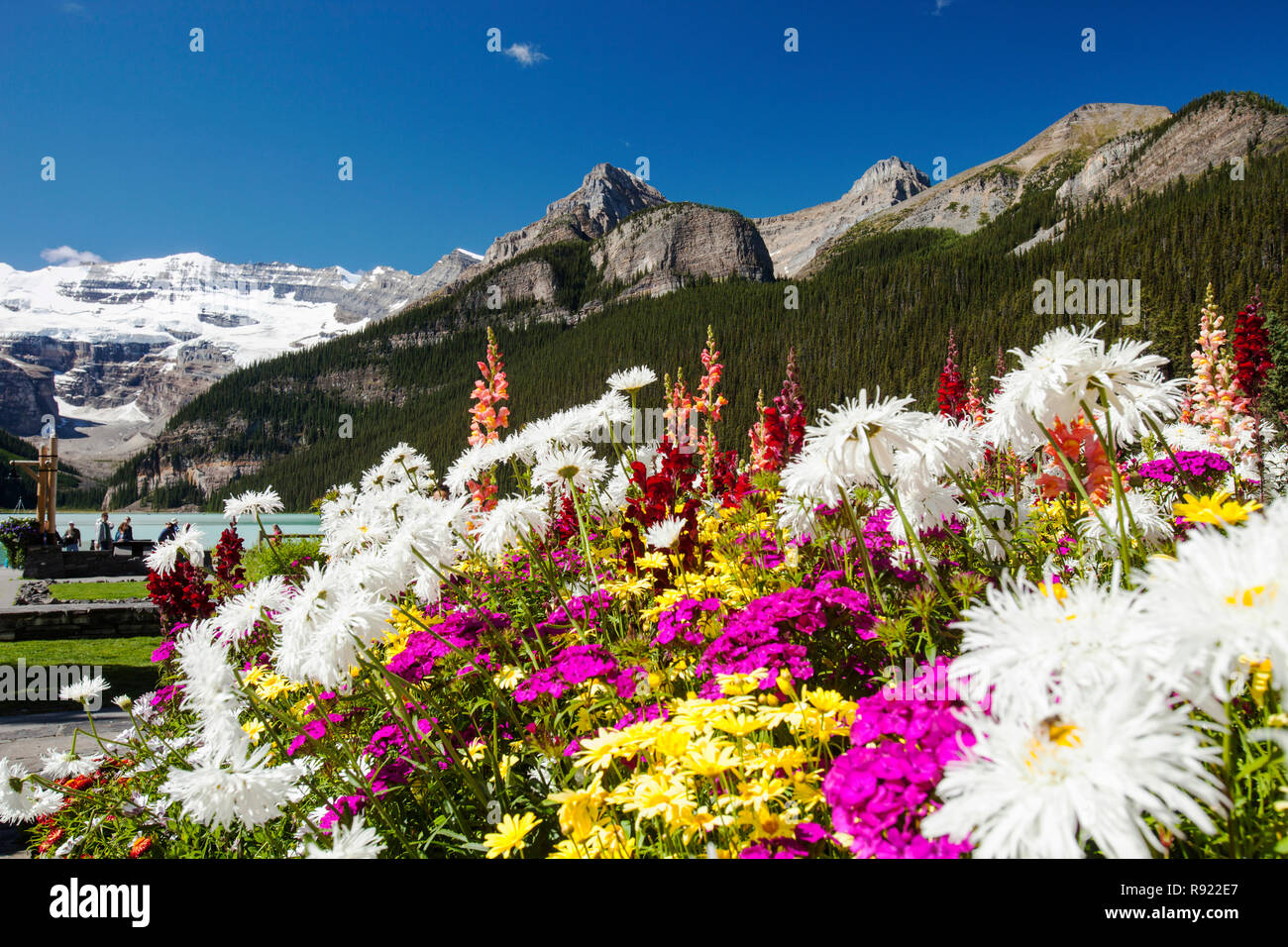Columbia icefield receding hi-res stock photography and images - Alamy