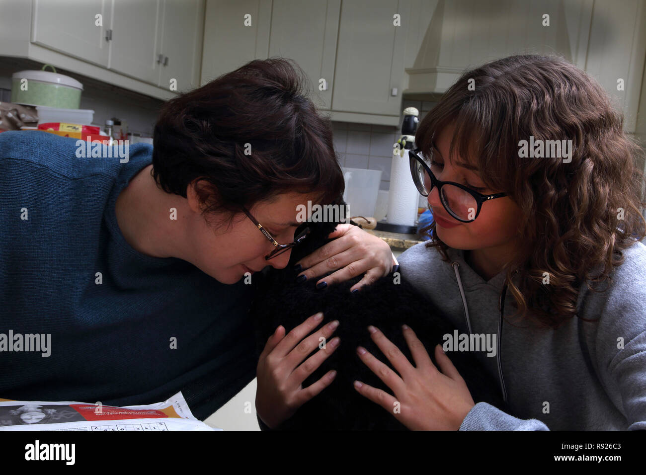 Mother and Daughter Hugging A Cockapoo Dog Surrey England Stock Photo ...