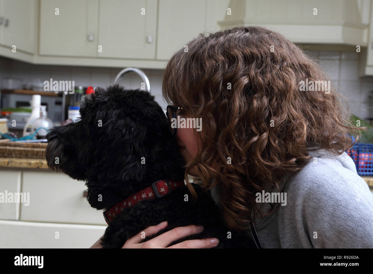 Twelve Year Old Girl Hugging and Kissing A Cockapoo Dog Surrey England ...