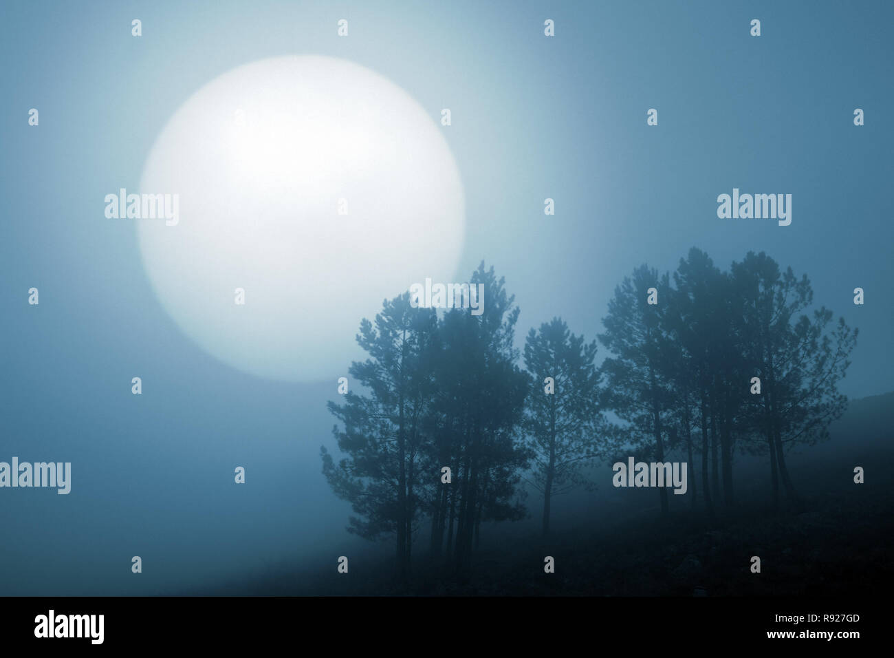 Full moon in night fog hi-res stock photography and images - Alamy