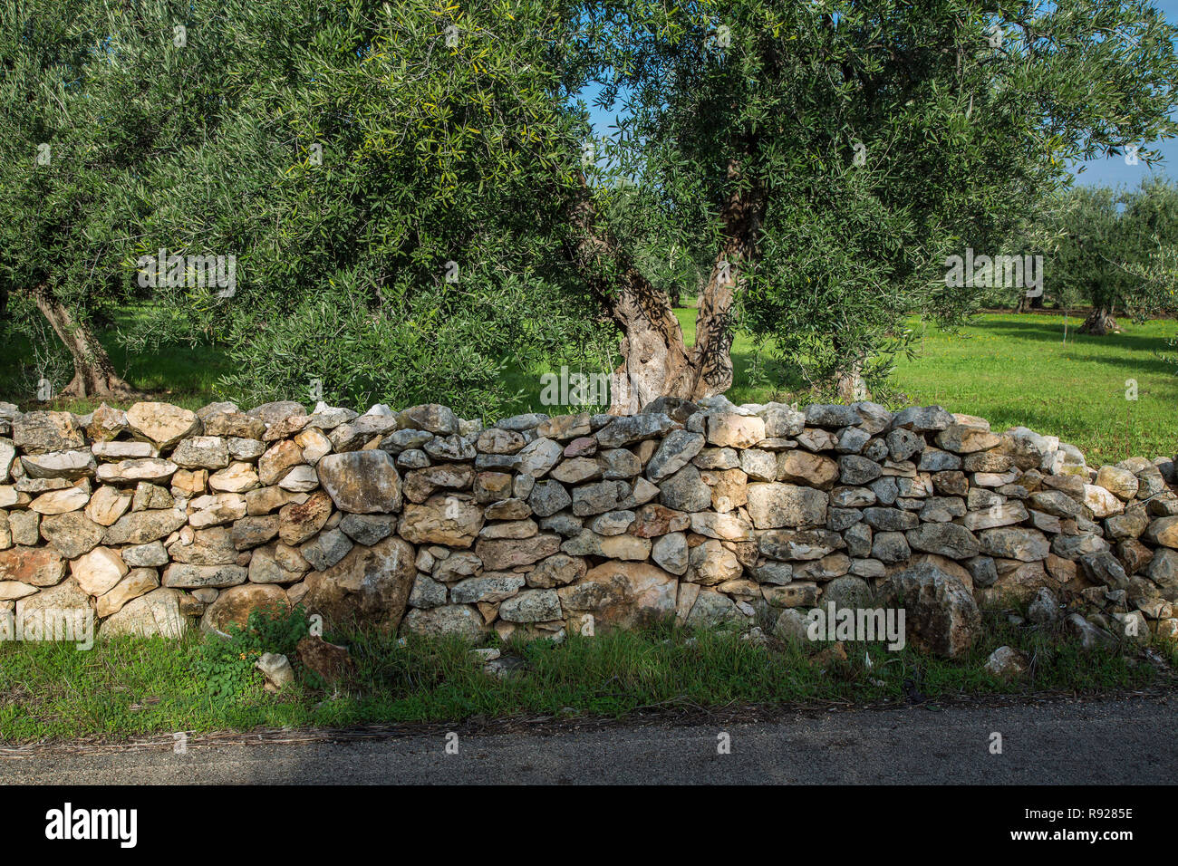 Old fence stone wall hi-res stock photography and images - Alamy
