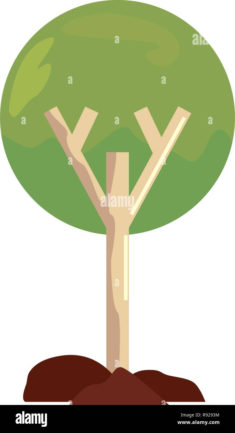 tree botanical natural on white background vector illustration Stock ...