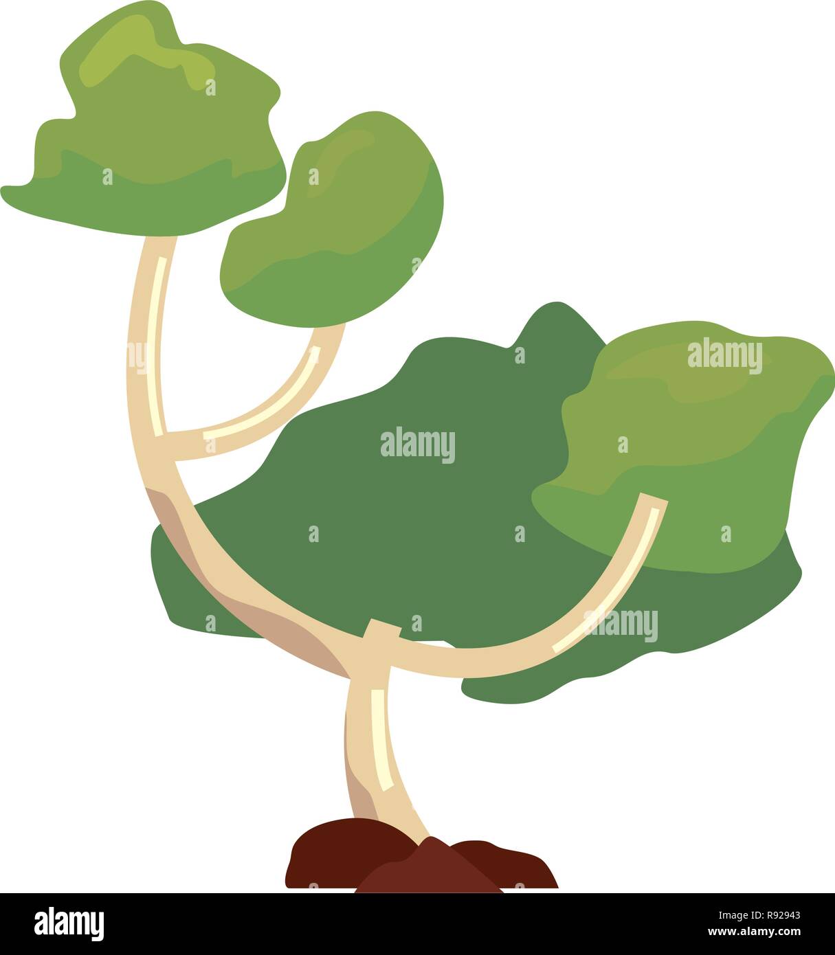 tree botanical natural on white background vector illustration Stock ...