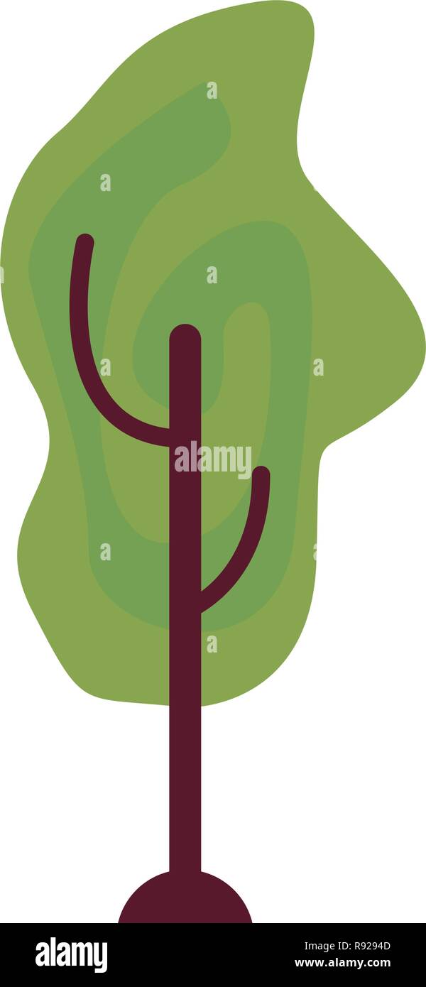 tree botanical natural on white background vector illustration Stock ...