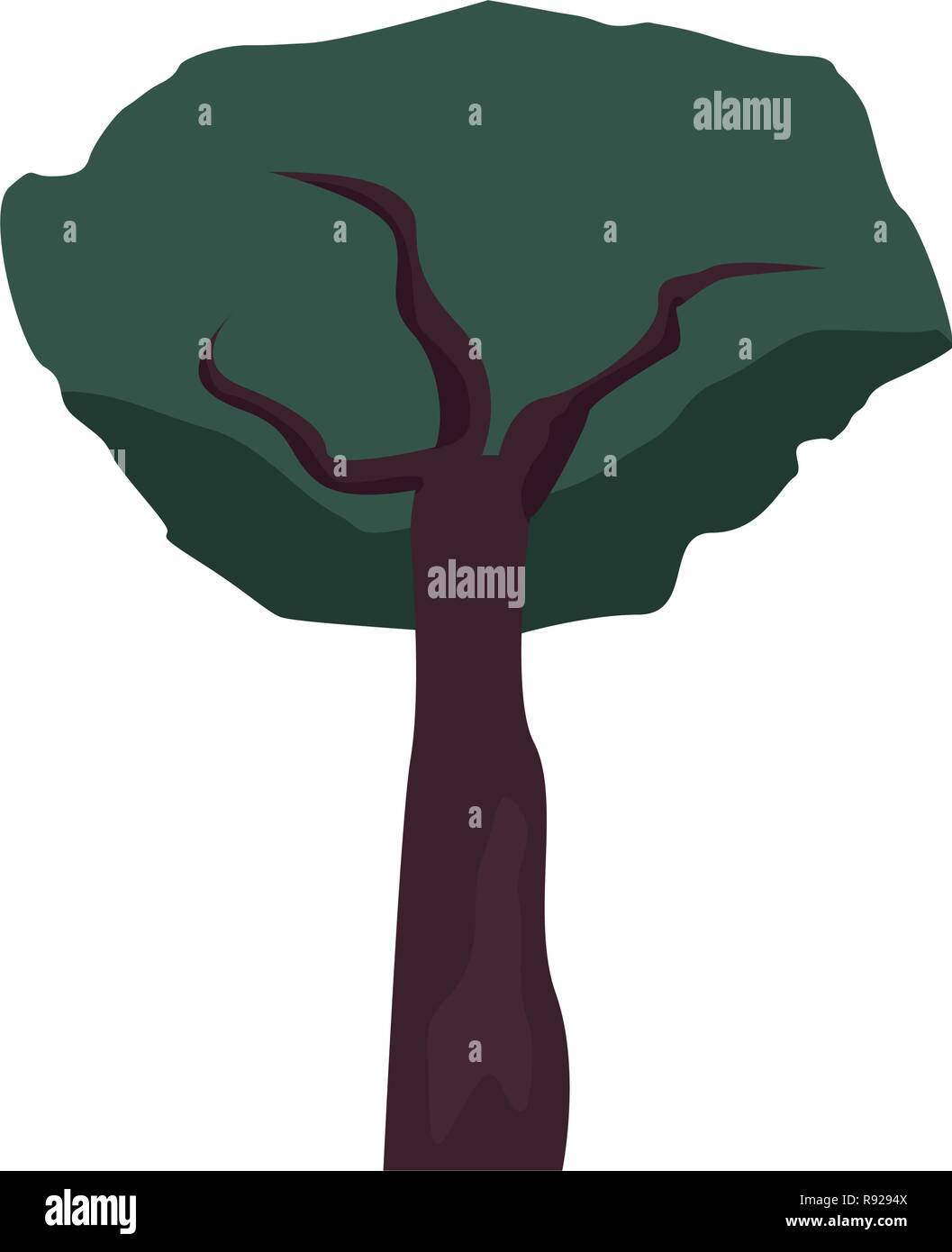 tree botanical natural on white background vector illustration Stock ...