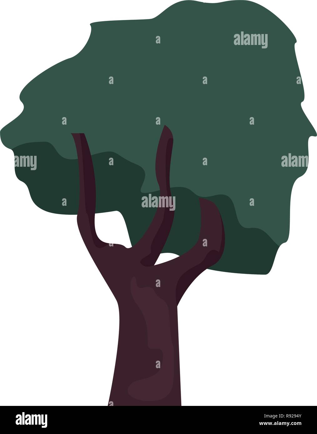 tree botanical natural on white background vector illustration Stock ...