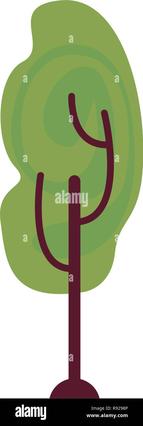 tree botanical natural on white background vector illustration Stock ...