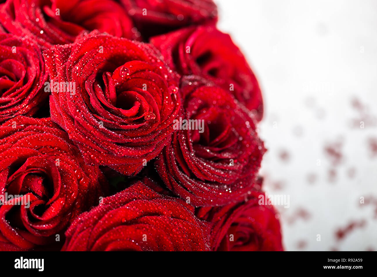 Perfect bouquet of red roses, love and romance concept Stock Photo - Alamy