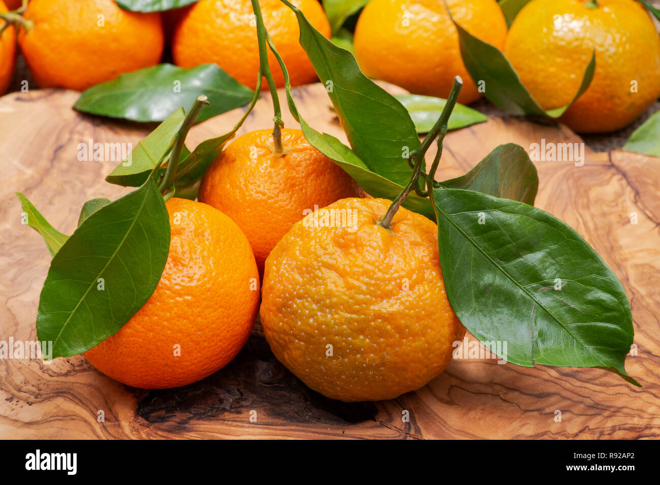Fresh ripe organic mandarins with green leaves on natural olive wood ...
