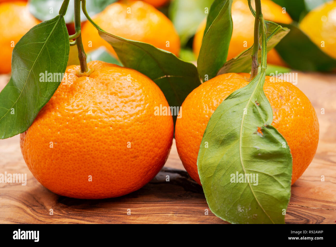 Fresh ripe organic mandarins with green leaves on natural olive wood ...