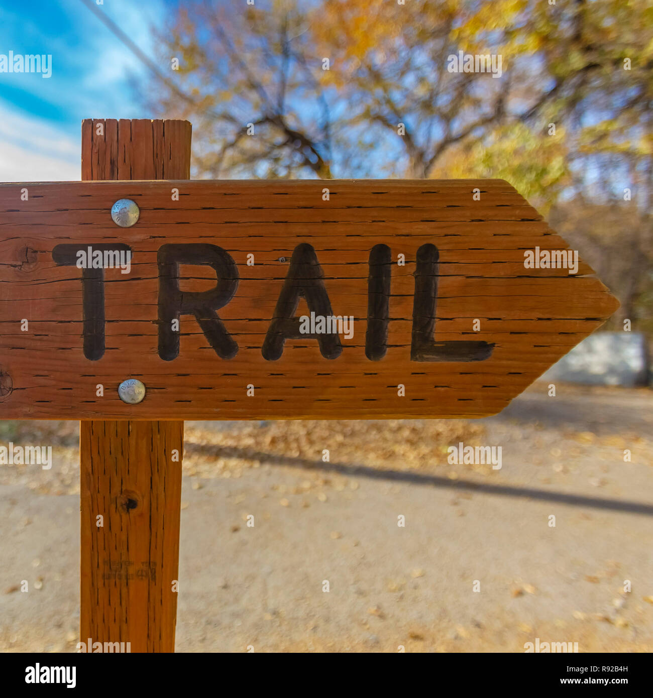 Right trees hi-res stock photography and images - Alamy