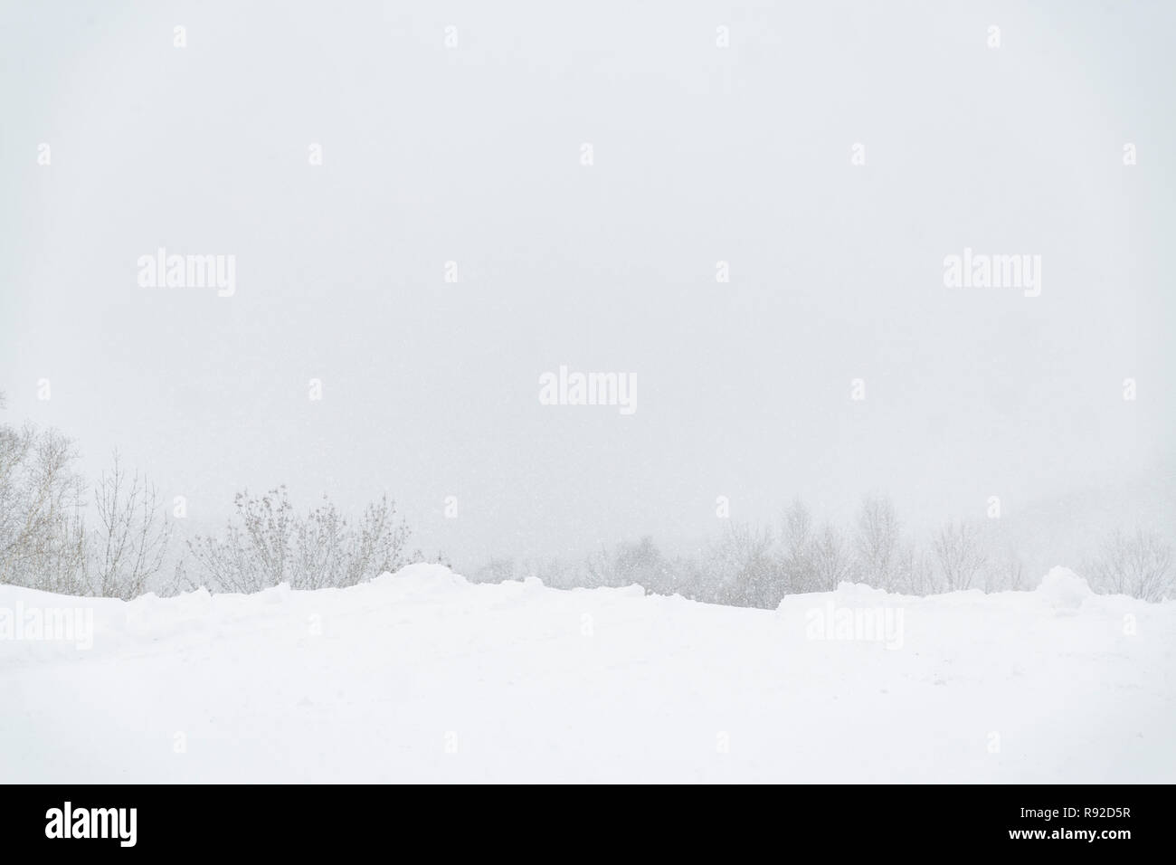 Winter landscape during a heavy blizzard in Niseko region. Hokkaido ...