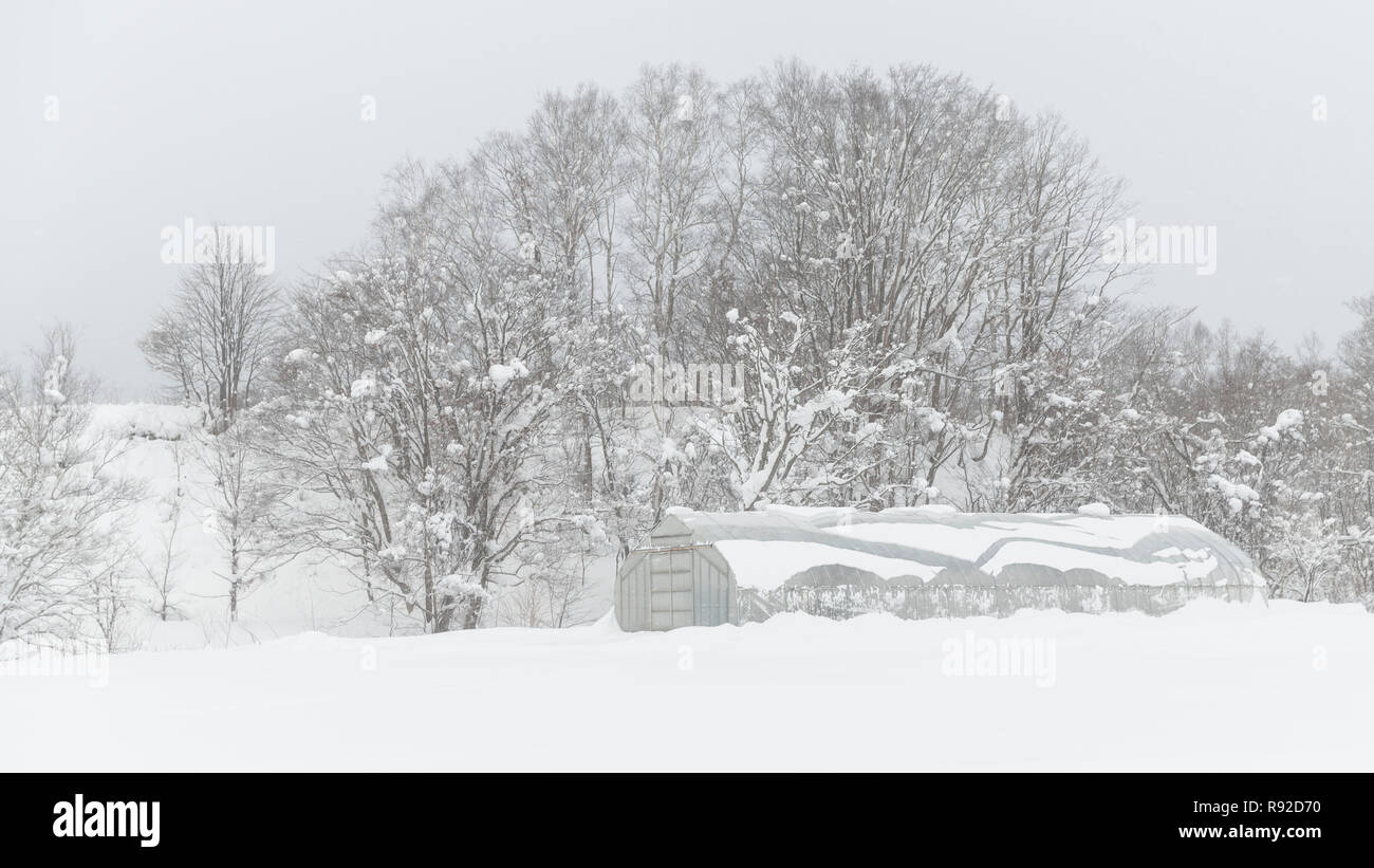 Landscape japan hokkaido region hi-res stock photography and images - Alamy
