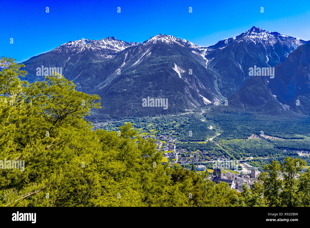 Trees in Swiss Alps mountains, Leuk, Visp, Wallis Valais Switzerland ...