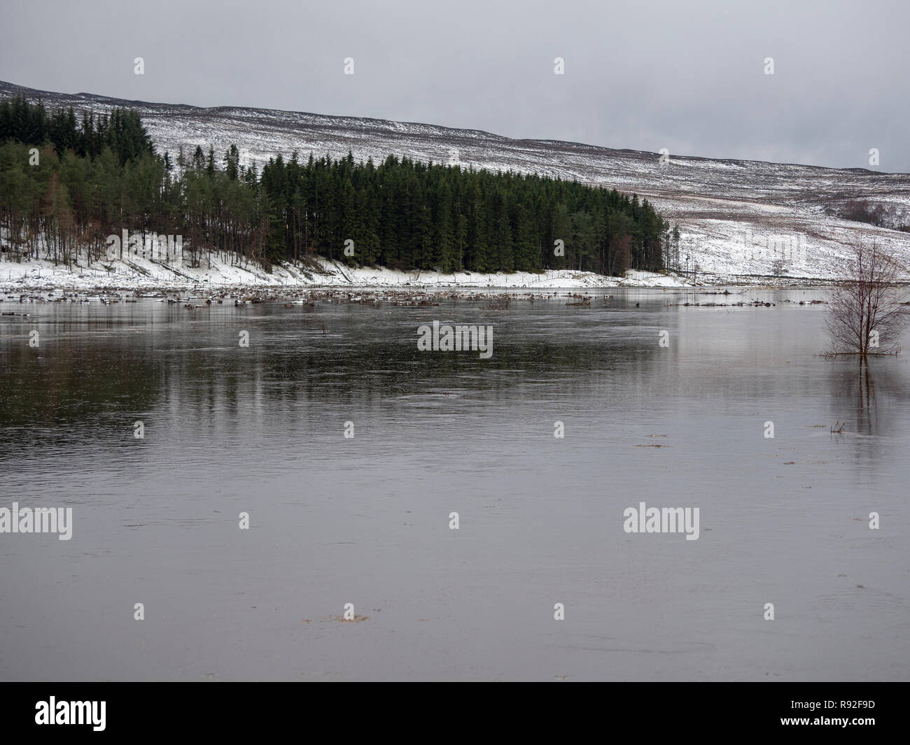 Heavy Rain & Rapid thawing Snow caused the River Ardle to burst its ...