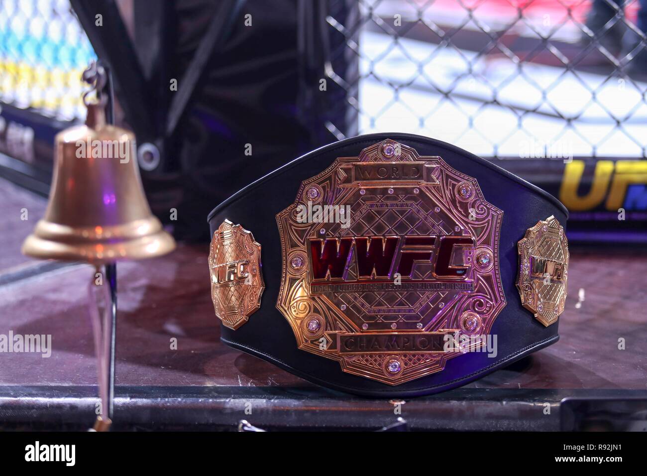 Award of WWFC 13 matches seen during the WWFC 13 (World Warriors ...