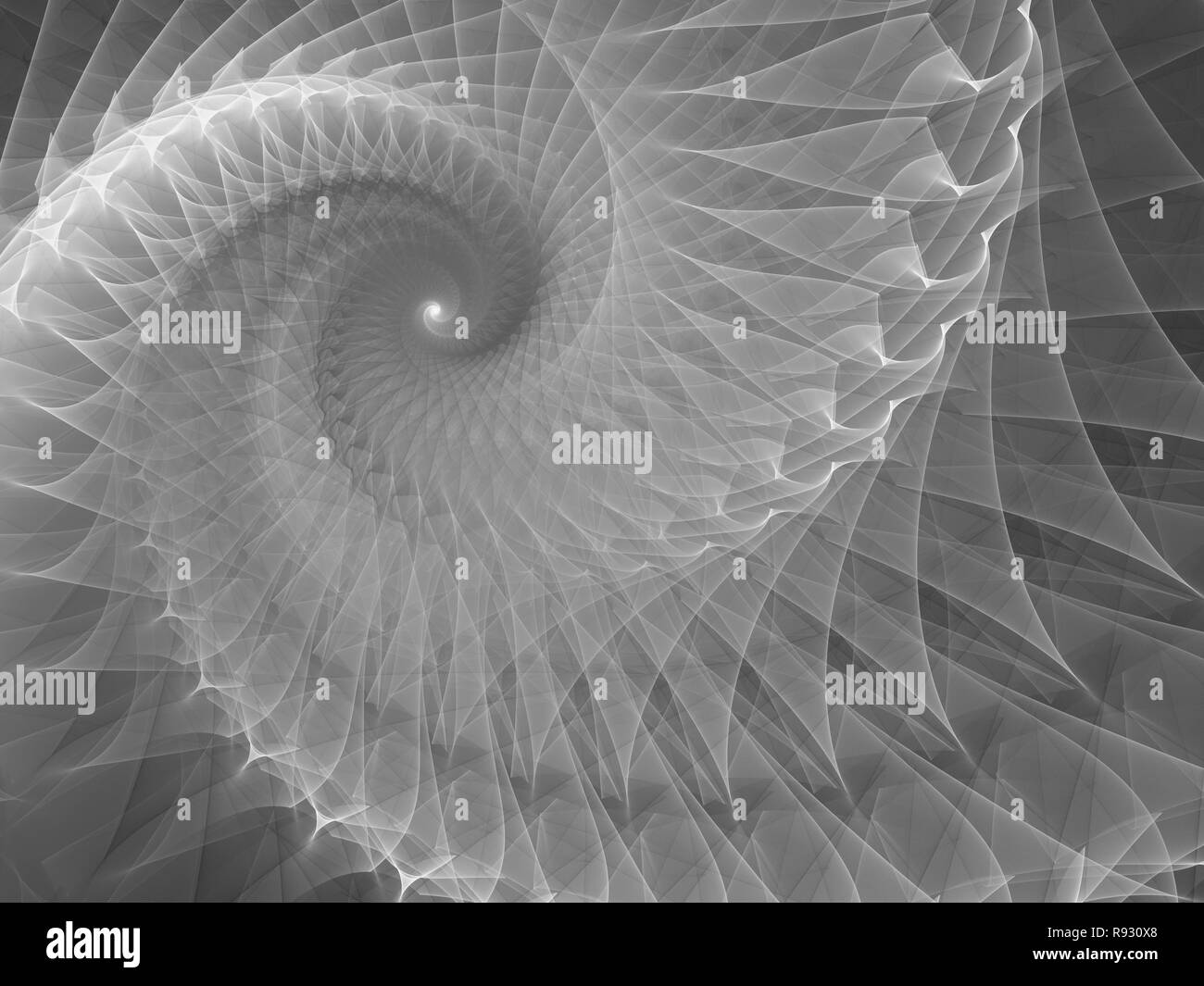 Soft green grey Black and White Stock Photos & Images - Alamy