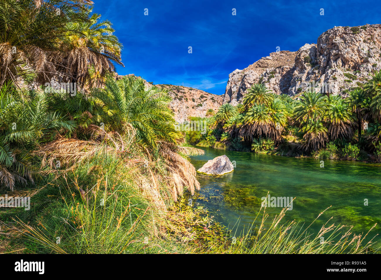 Palm forest on Preveli beach, Crete, Greece, Europe. Crete is the ...
