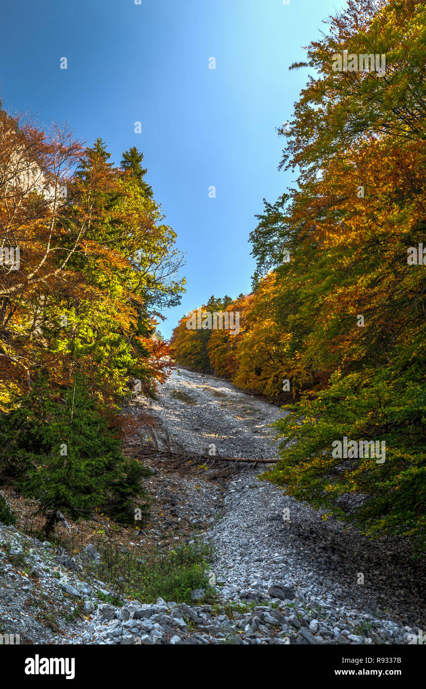 Colorful autumn trees in the rubble field on the way to the top of ...