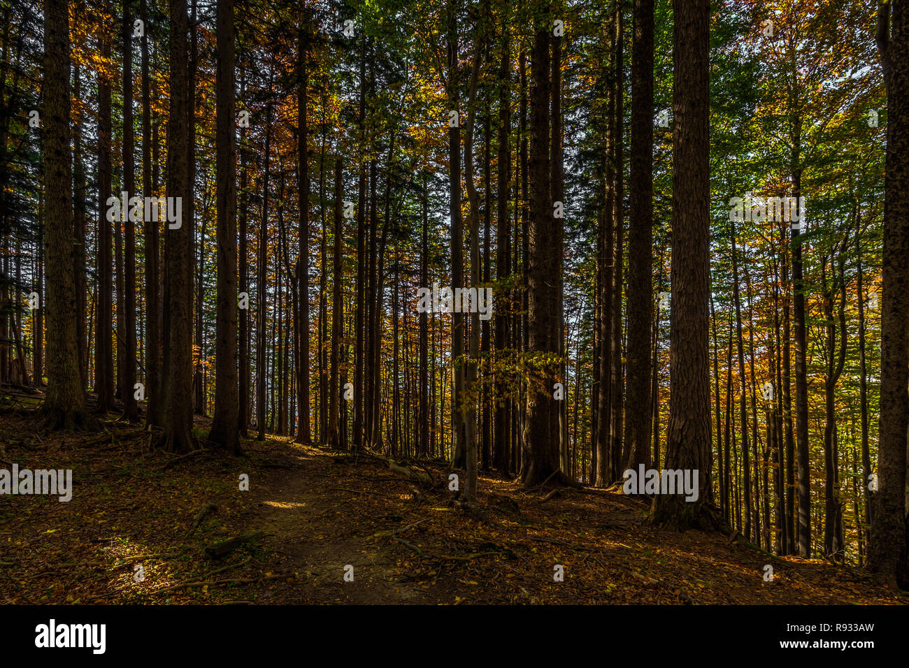 Summit klosterwappen on mountain schneeberg hi-res stock photography ...