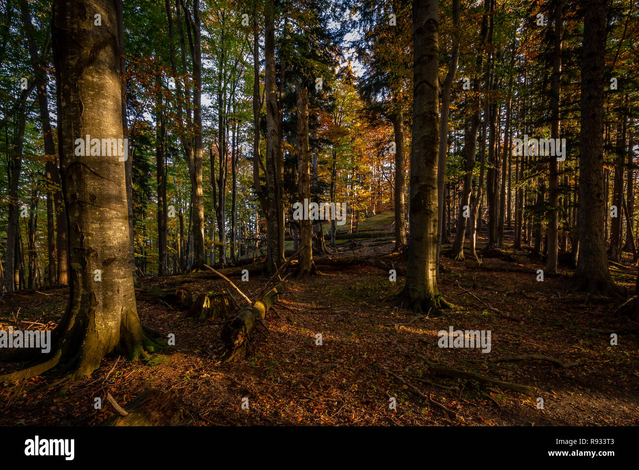 Summit klosterwappen on mountain schneeberg hi-res stock photography ...