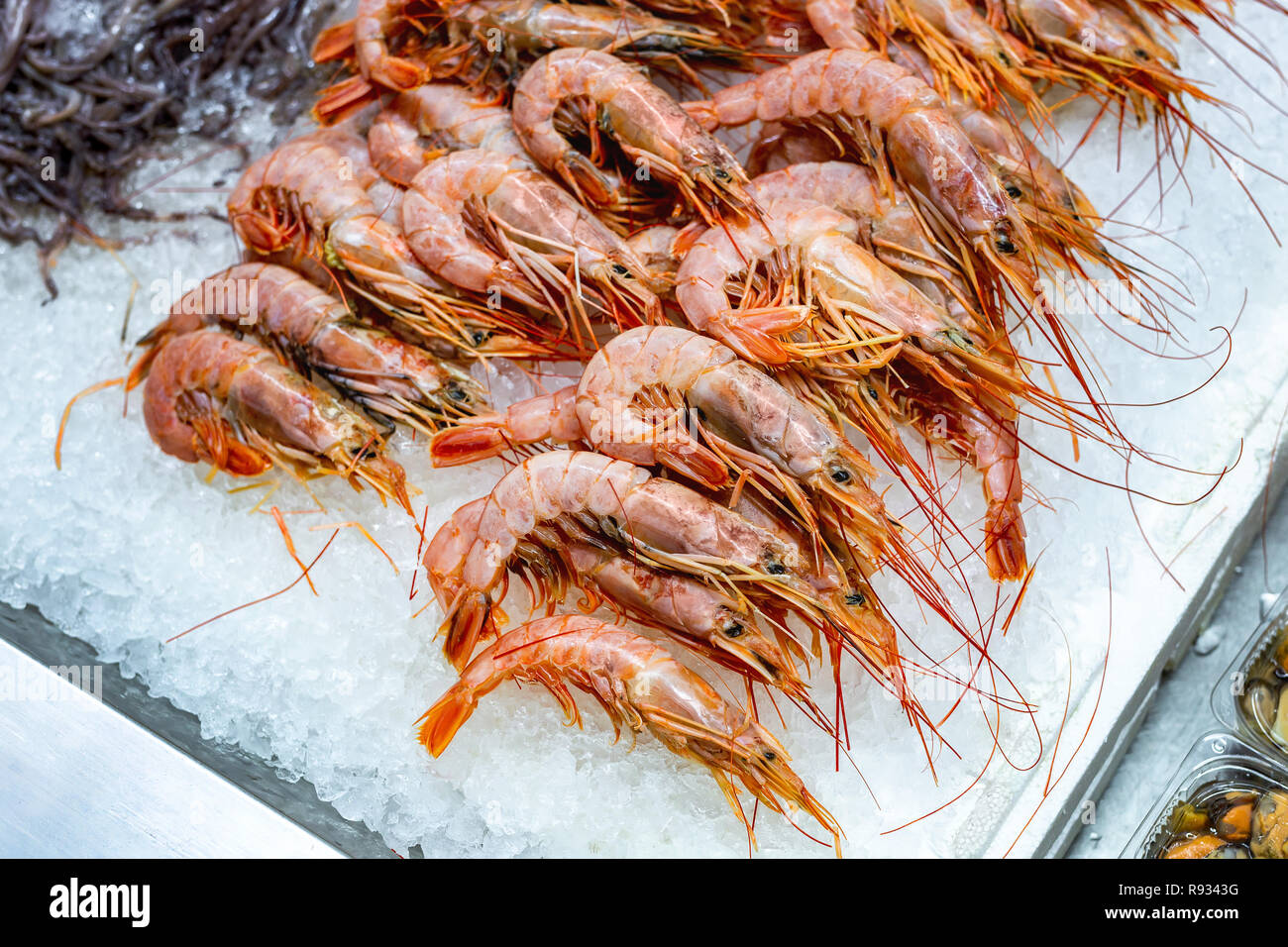 Fresh Shrimp On Ice