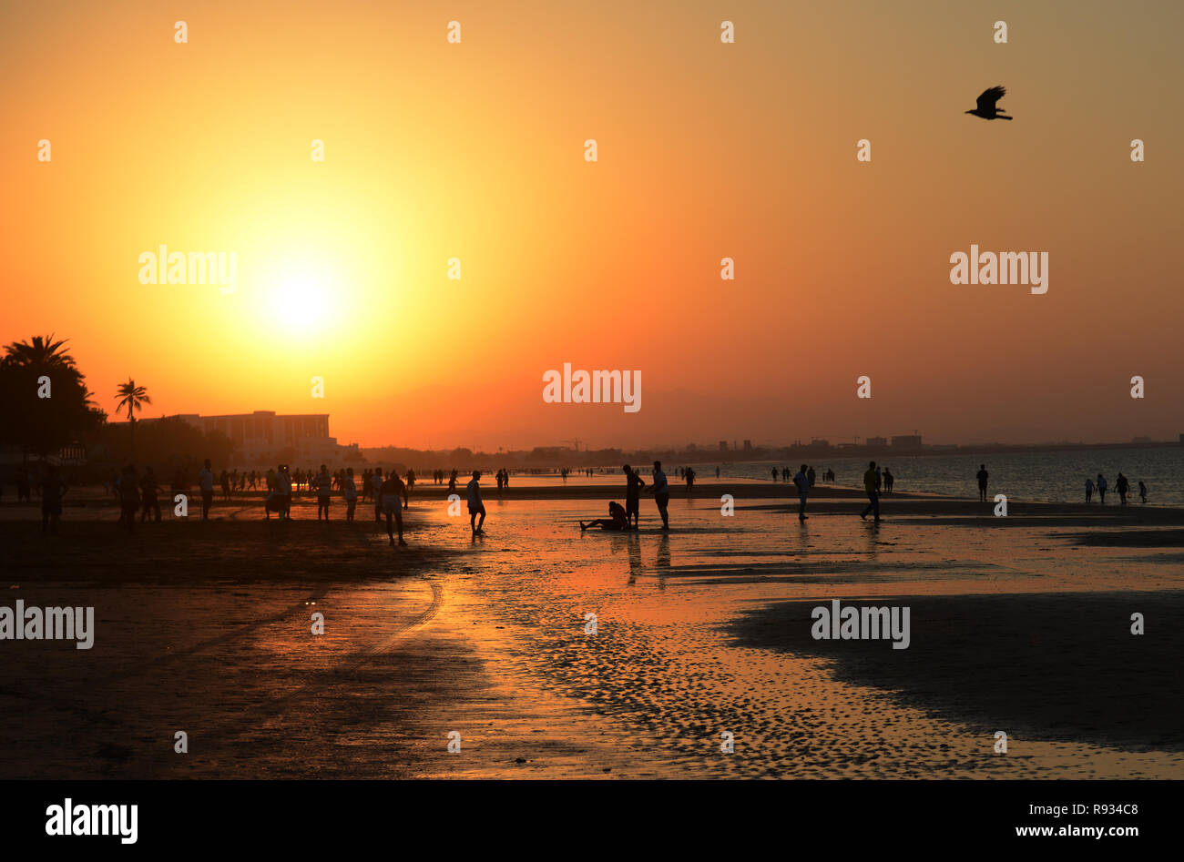 A beautiful sunset on Qurum Beach in Muscat, Oman Stock Photo - Alamy