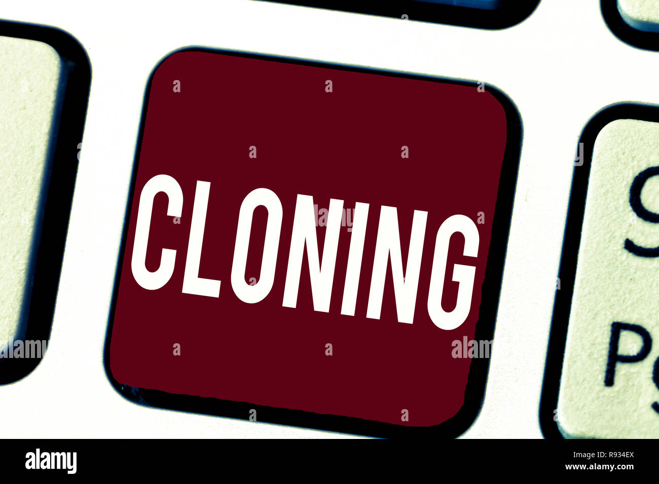 Text sign showing Cloning. Conceptual photo Make identical copies of ...