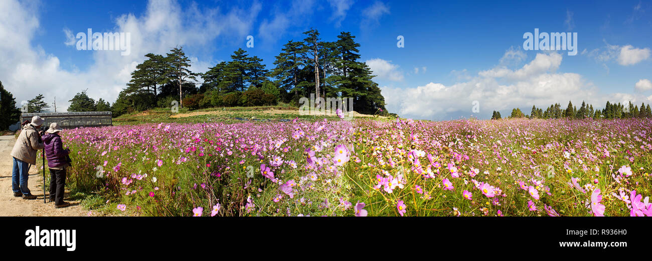 The Beautiful Wide Angle flower background. Panoramic floral wallpaper ...