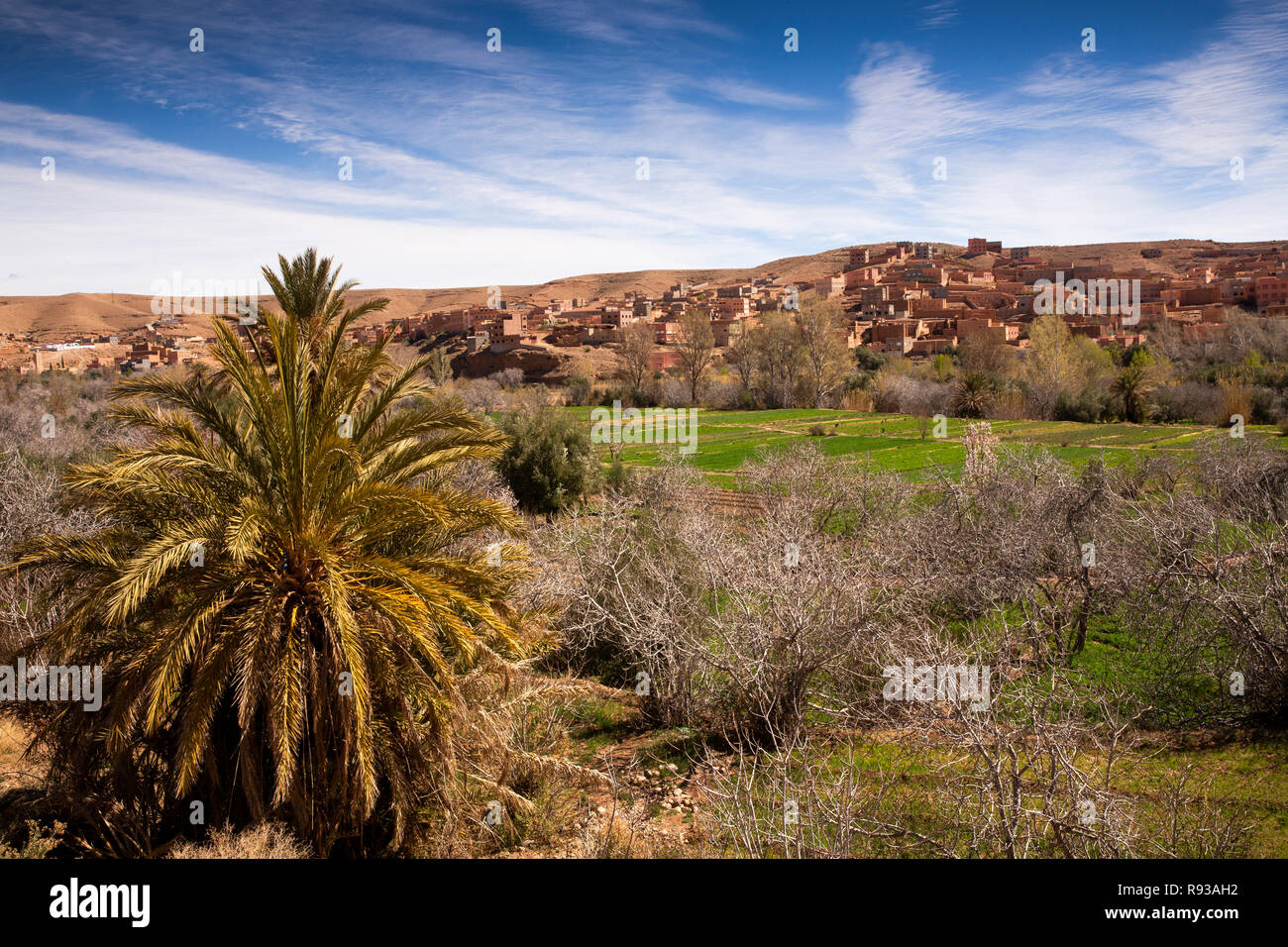 Farming In Morocco Stock Photos & Farming In Morocco Stock Images - Alamy