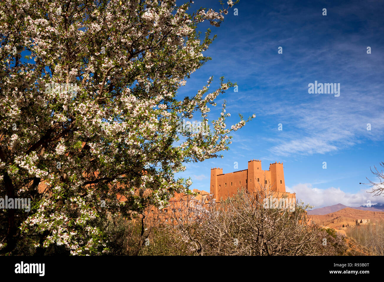 Morocco, Dades Valley, Telouet, Kasbah of former Pascha of Glaoul Stock ...