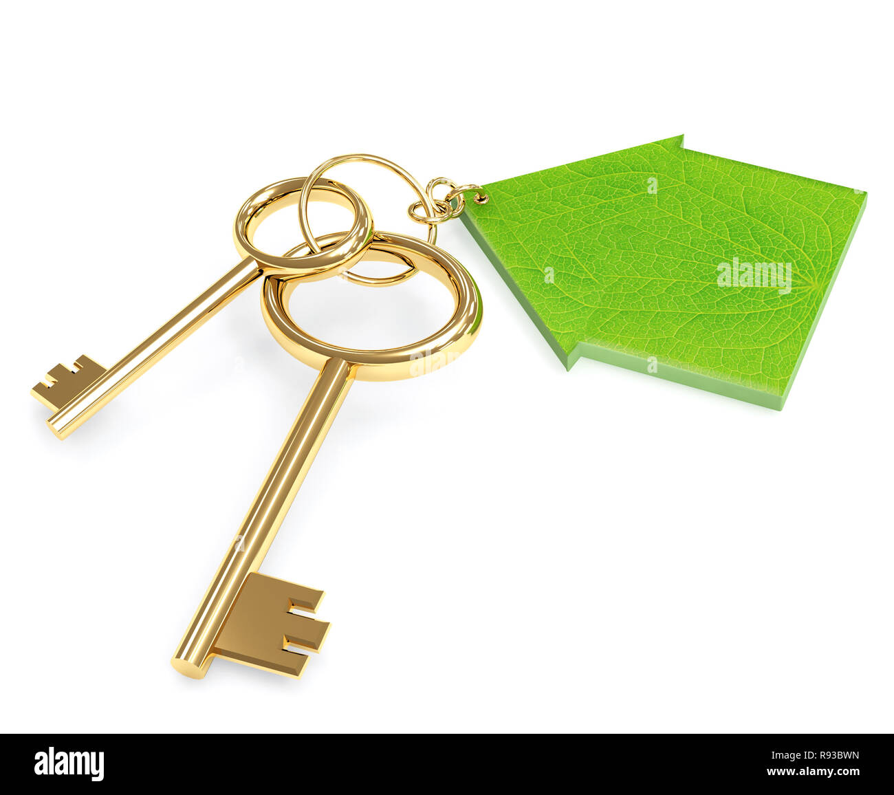 Two 3d gold keys with label. Objects over white Stock Photo - Alamy