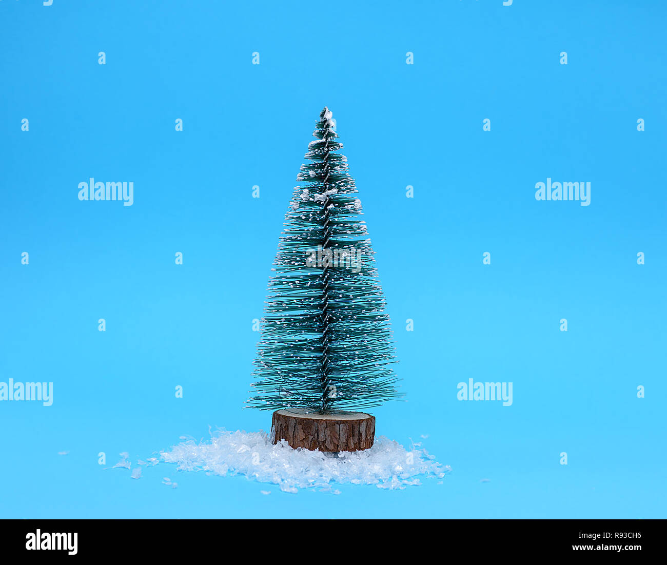 Close up miniature fir hi-res stock photography and images - Alamy