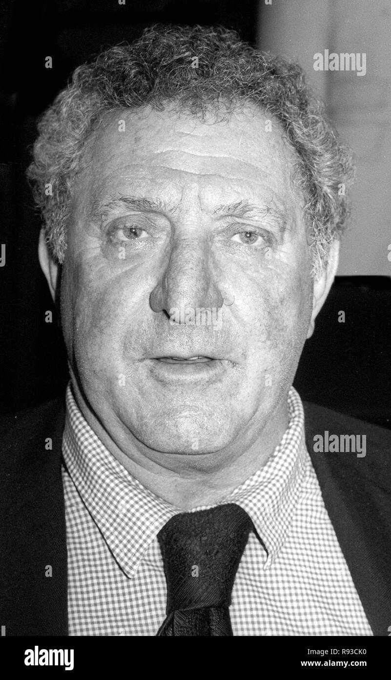 Irwin Shaw 1977 Photo By Adam Scull/PHOTOlink/MediaPunch Stock Photo ...