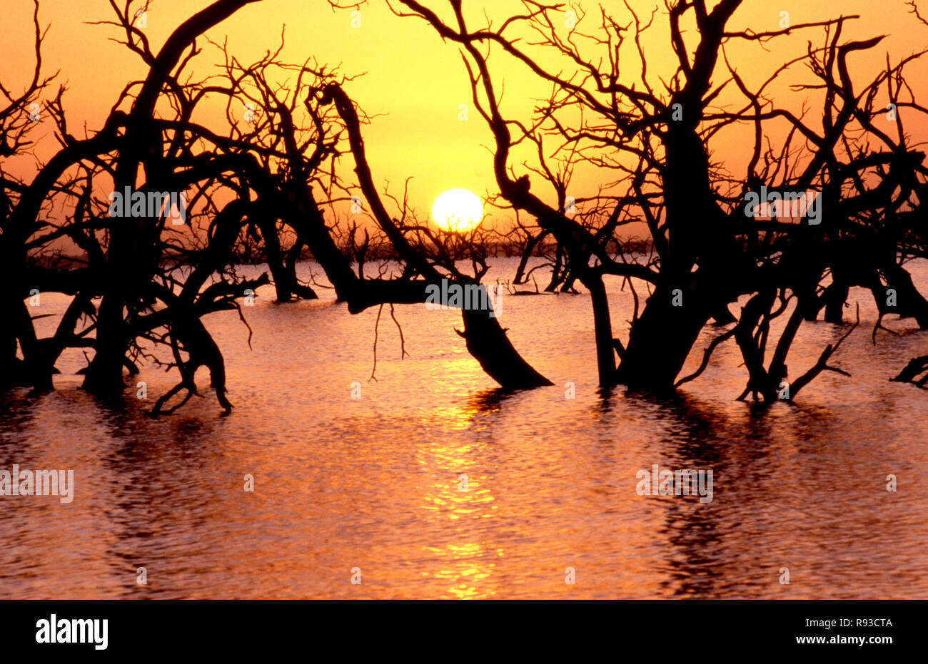 Lake menindee nsw hi-res stock photography and images - Alamy