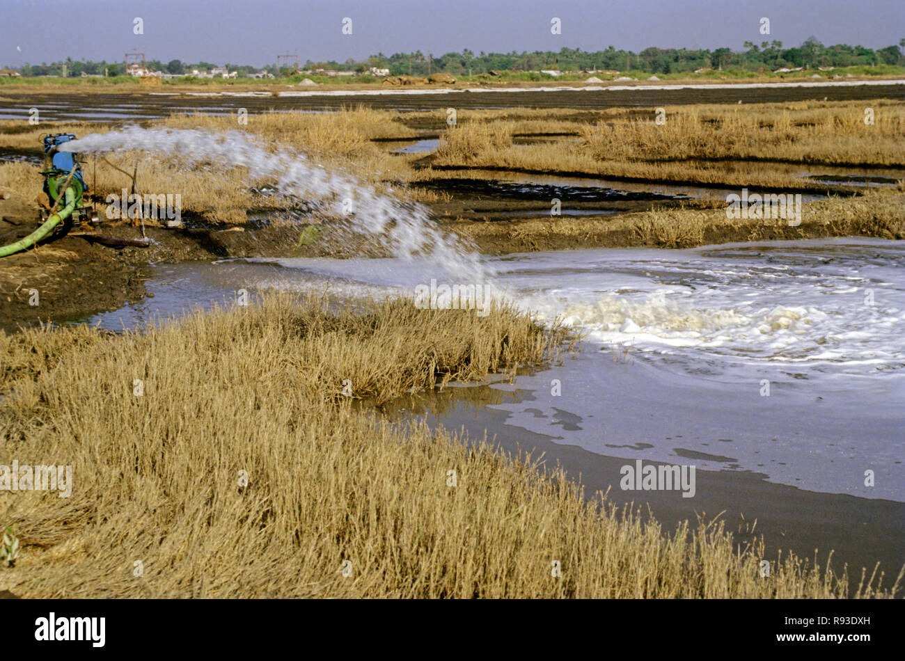 irrigation, water pump, india Stock Photo - Alamy