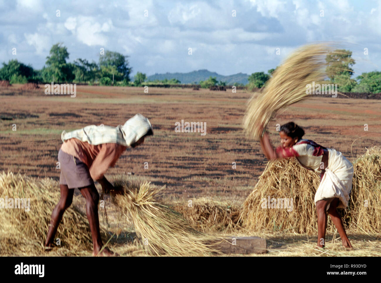 farmers, maharashtra, india Stock Photo - Alamy