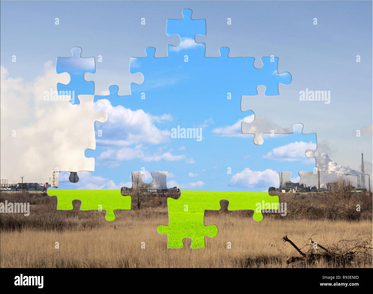 Ecology concept - death and life Stock Photo - Alamy