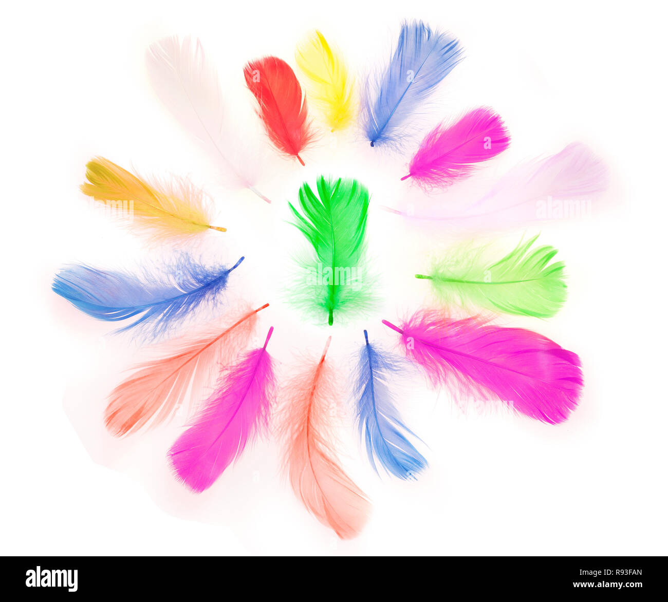 round frame of colorful bird feathers with empty white space for text ...