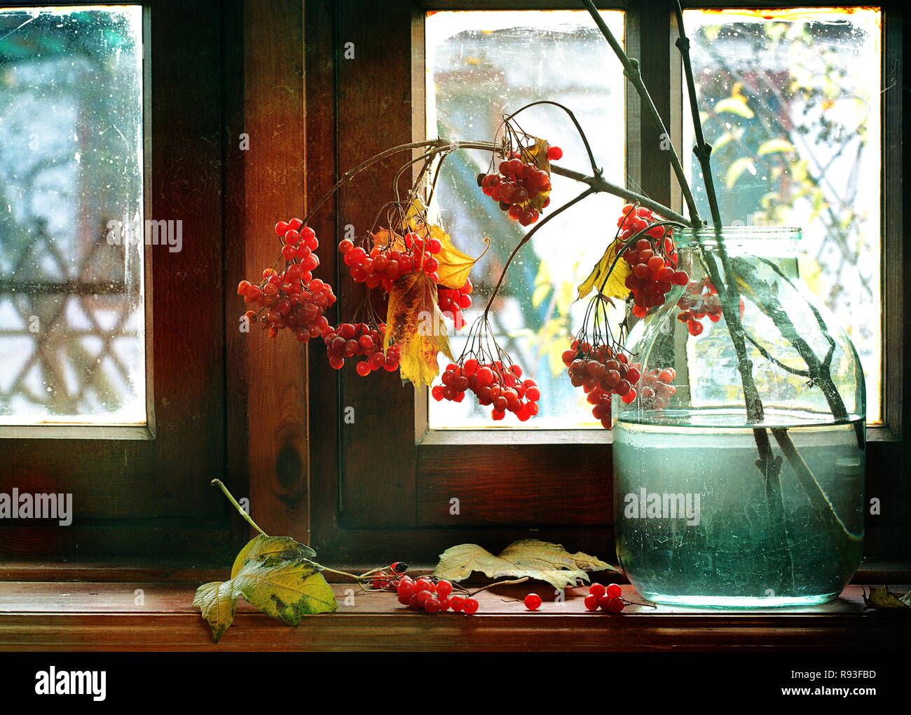 Still-life with viburnum on a wooden window sill Stock Photo - Alamy