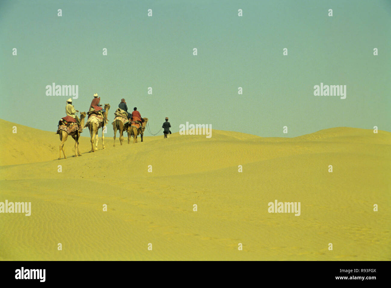 camel ride in Sand Dunes, Sam Sand Dunes, Jaisalmer, Rajasthan, India ...