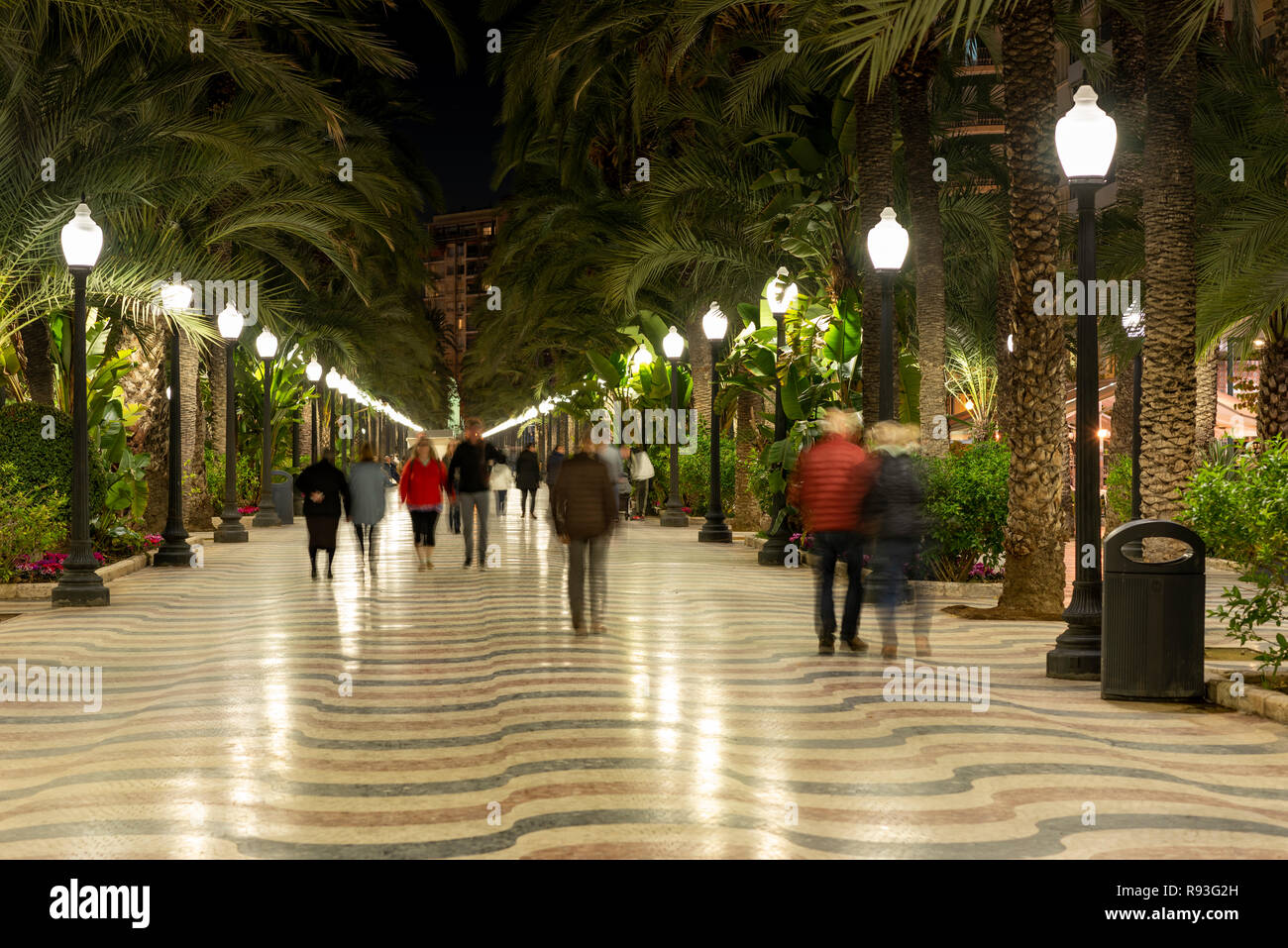 Explanada de España promenade at night, Alicante city, Costa Blanca ...