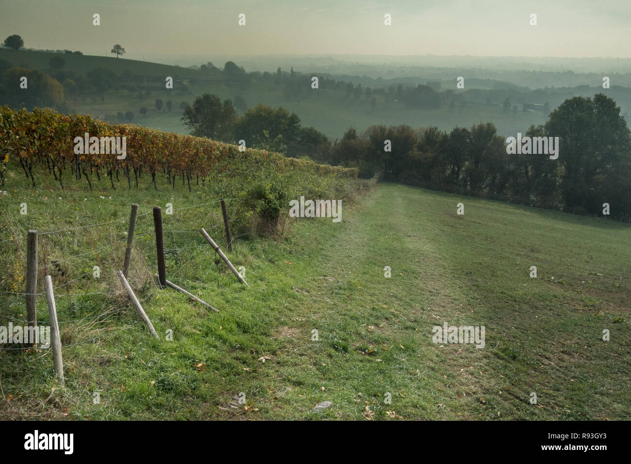 Belgian fruit valley hi-res stock photography and images - Alamy
