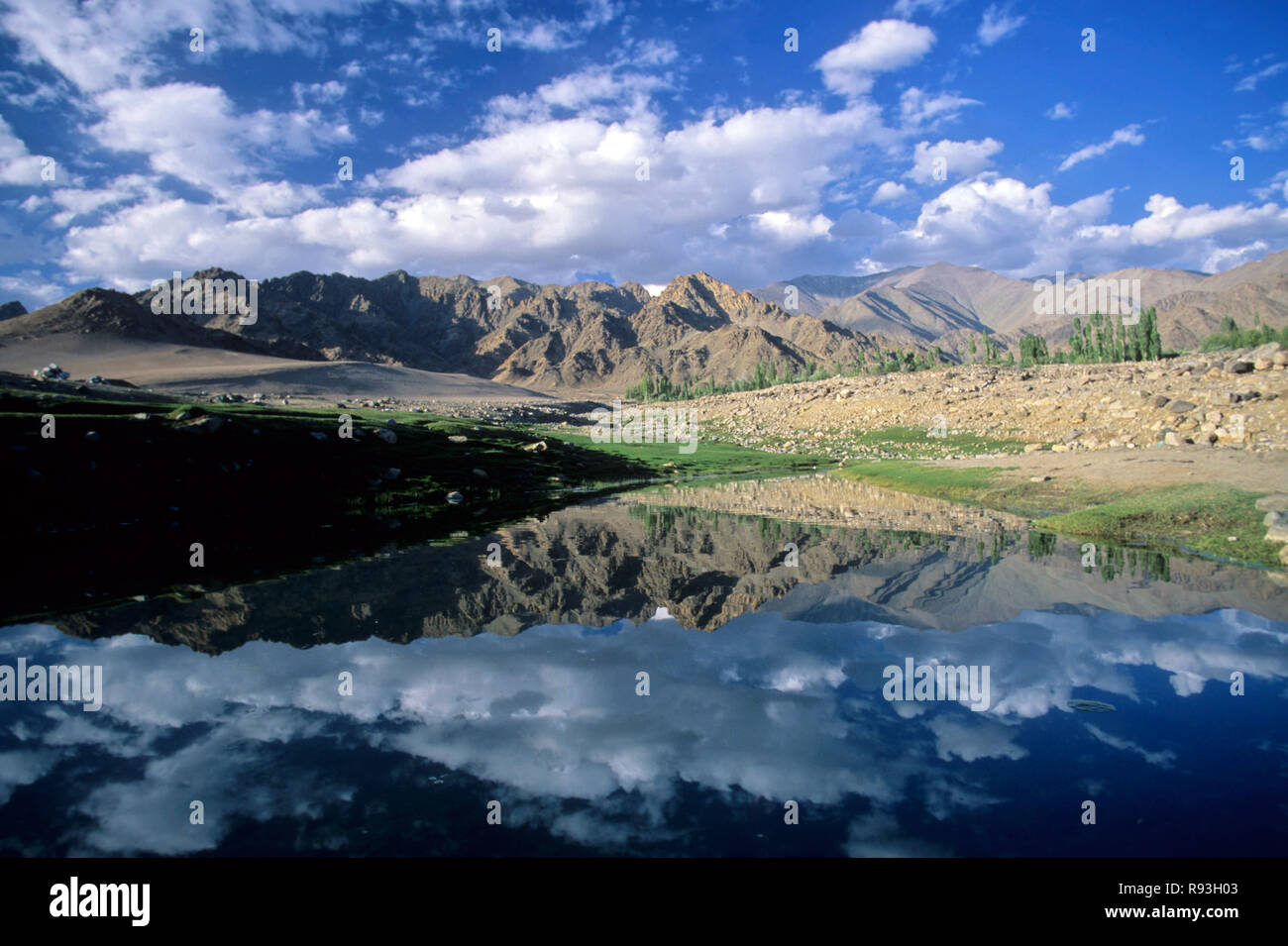 Sabu hi-res stock photography and images - Alamy