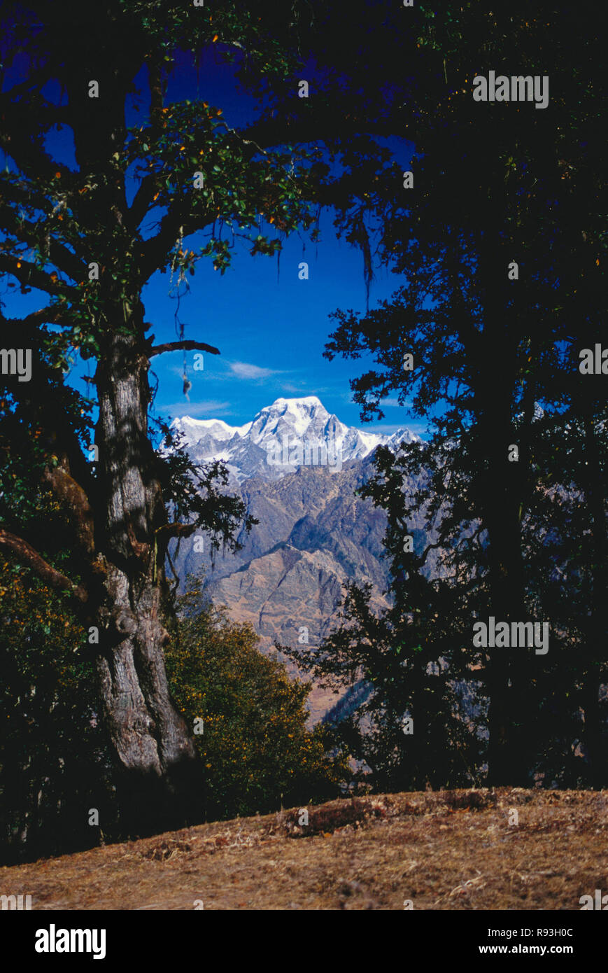 Auli ski resort hi-res stock photography and images - Alamy