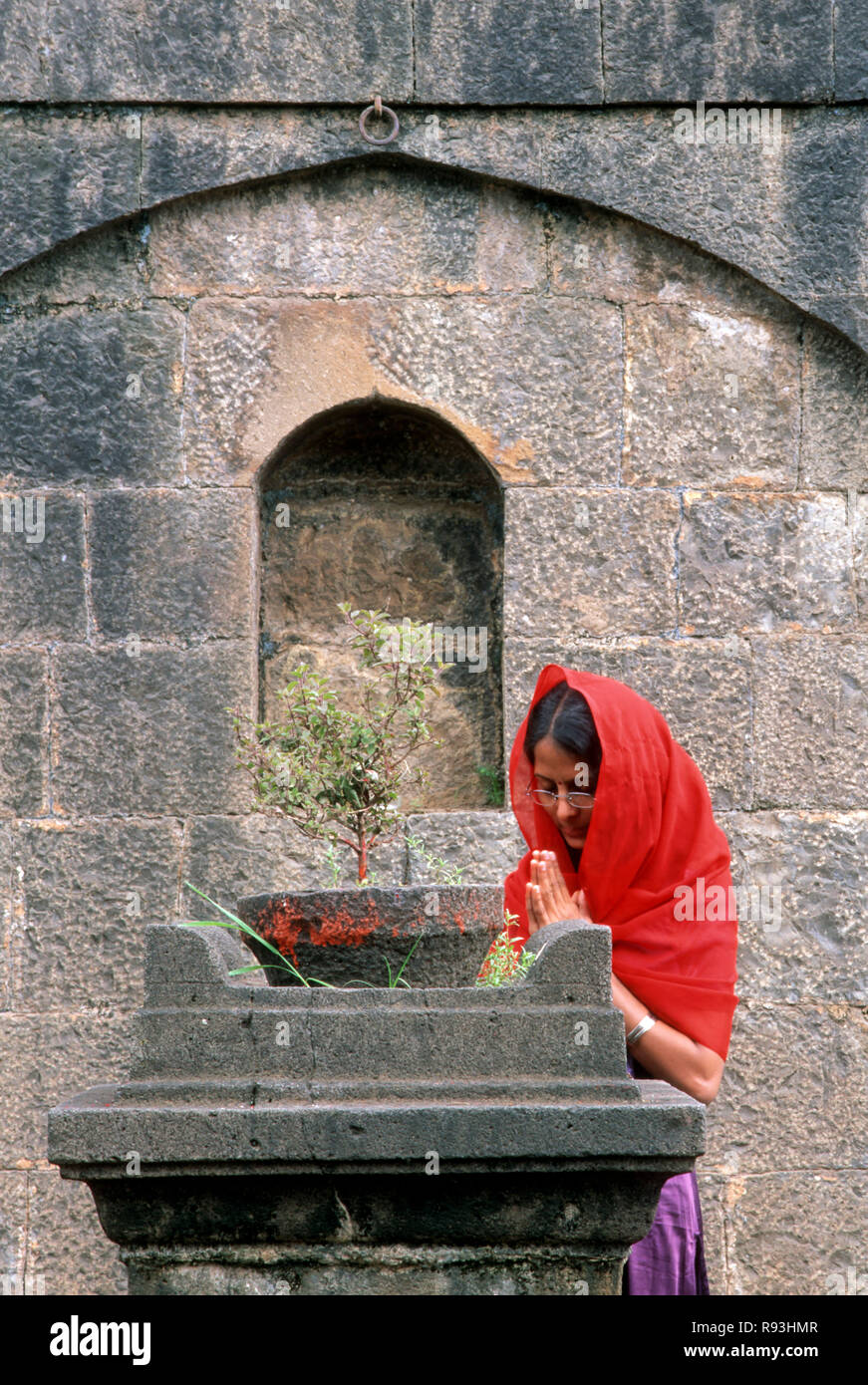 Tulsi vrindavan hi-res stock photography and images - Alamy