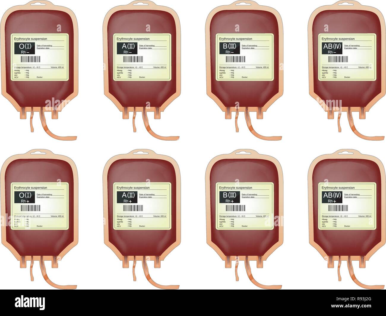 vector illustration of a donor blood transfusion Stock Vector Image ...