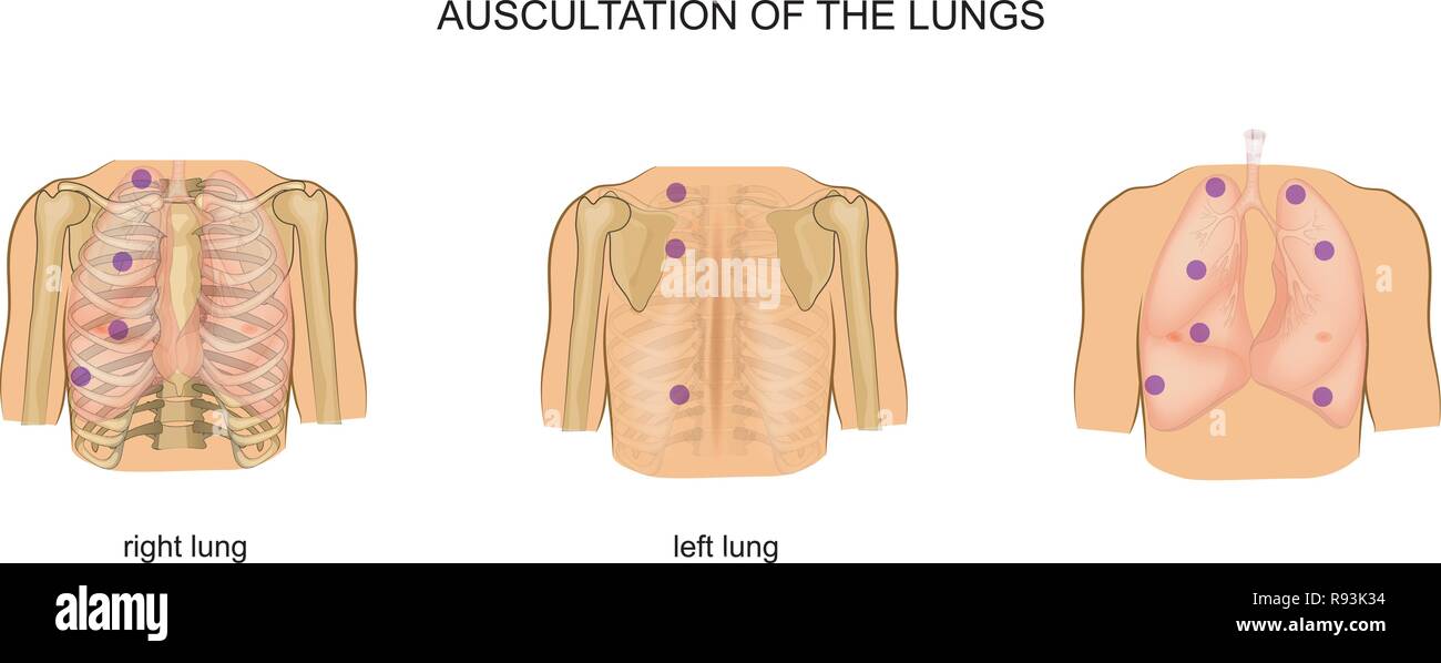 Auscultation High Resolution Stock Photography and Images - Alamy