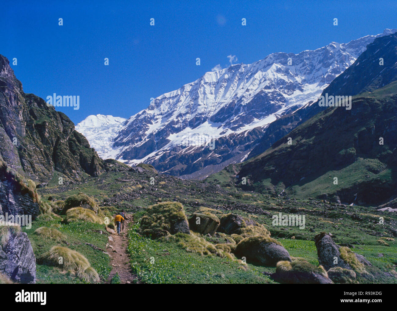 Kafni glacier hi-res stock photography and images - Alamy